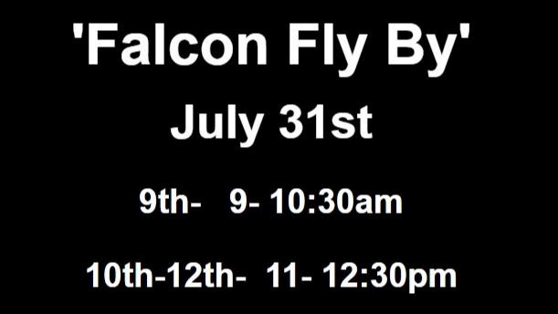 'Falcon Fly By'
